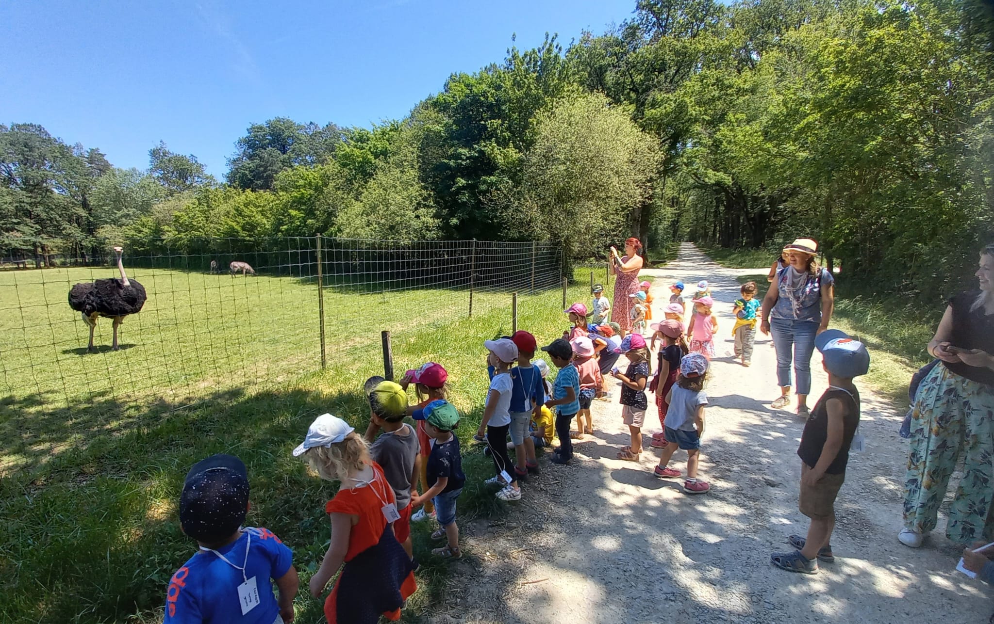 TPS-PS-MS et GS-CP, sortie du 2 juin 2023 - Ecole Georges Pompidou - Les Ormes