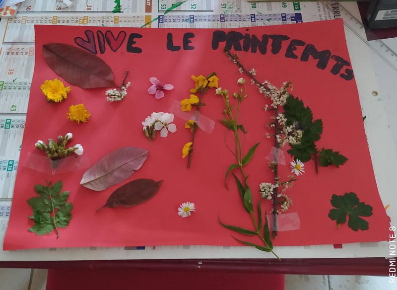 Le printemps au jardin : Land'art - RPI Le Paipounard