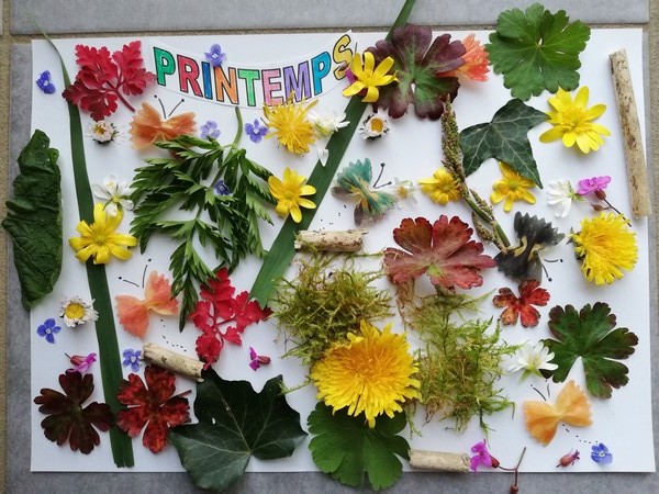 Le printemps au jardin : Land'art - RPI Le Paipounard